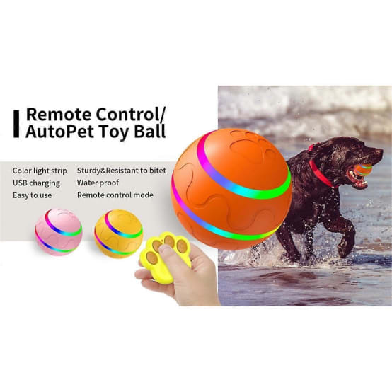 Jouets interactifs pour animaux de compagnie à boule roulante automatique MCBOSON - Jardiland