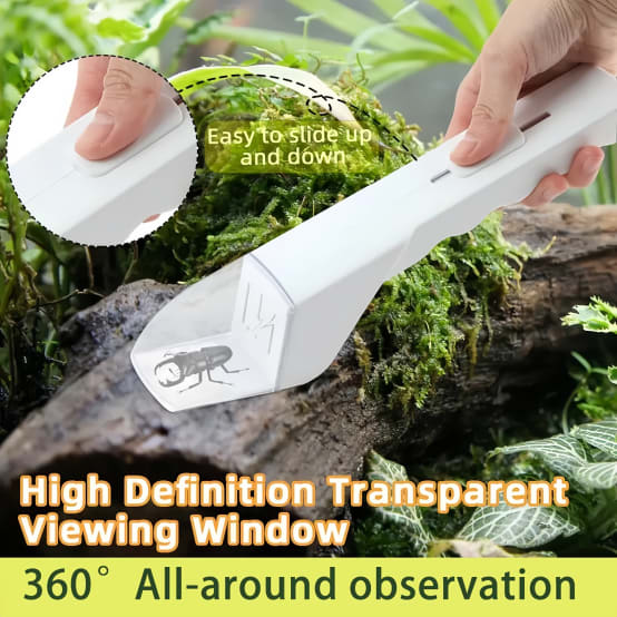 1 pièce Attrape-insectes pour enfants - IntiMeg - Jardiland