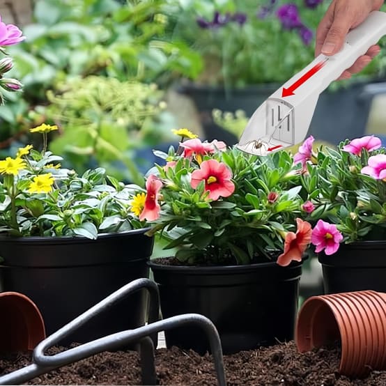 1 pièce Attrape-insectes pour enfants - IntiMeg - Jardiland