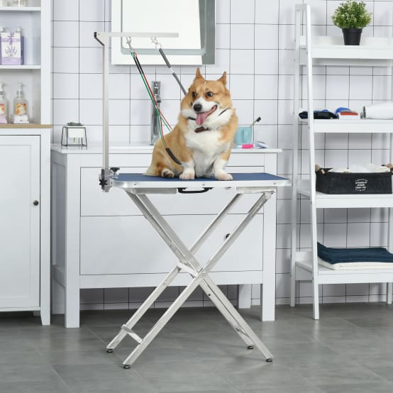Potence Toilettage Aluminium Pliable Chien Réglable avec Sangle Argent ...