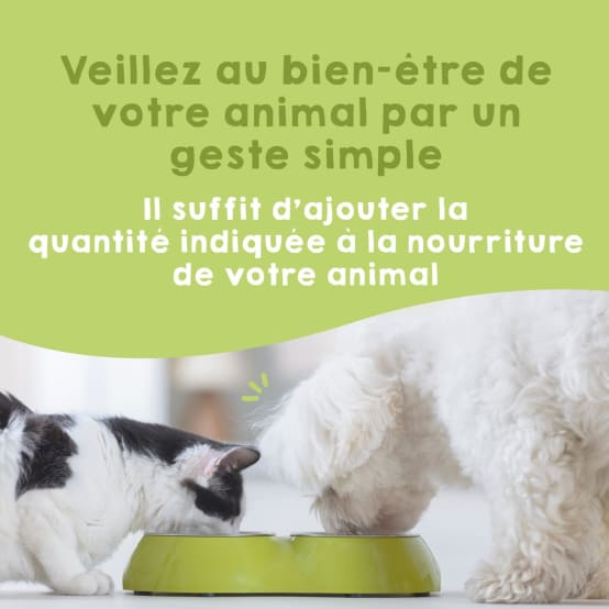 Probiotique Naturel pour Chien et Chat - Aide avec le Diarrhée et ...