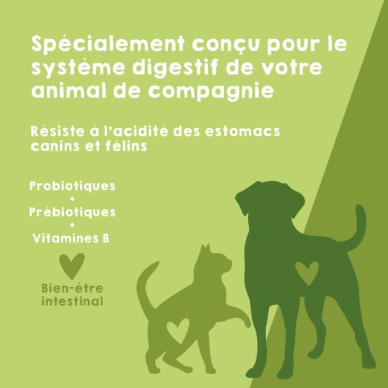 Probiotique Naturel pour Chien et Chat - Aide avec le Diarrhée et ...