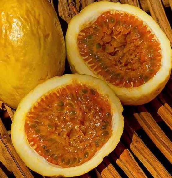 Passiflora edulis var. flavicarpa (Fruit de la passion (Grenadille ...
