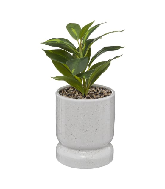 Plante verte artificielle pot en céramique H 30 cm - Jardiland