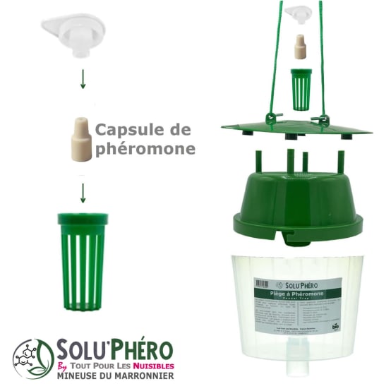 SOLUPHERO - Kit 1 Piège Funnel + 6 Phéromones Mineuse Marronnier Bio ...
