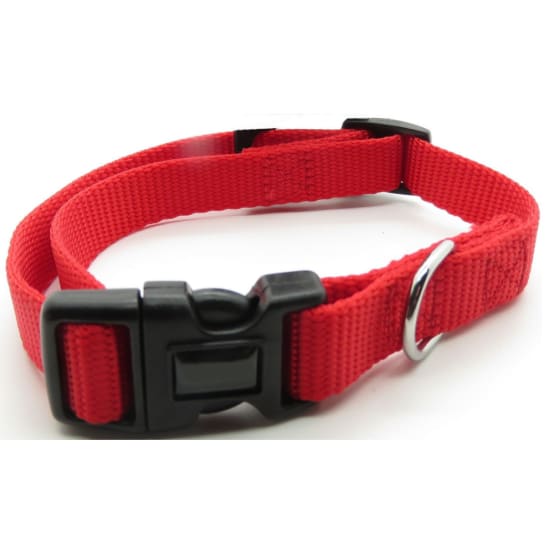 zolux - Collier nylon 30-40 cm x 15 mm rouge pour chien - Jardiland