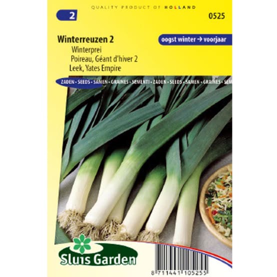 Poireau Géant d'hiver - Allium porrum le sachet de 1000 graines environ ...