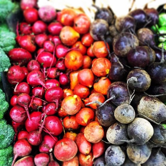 Betterave Rainbow Beet le sachet de 250 graines (5g) - Jardiland