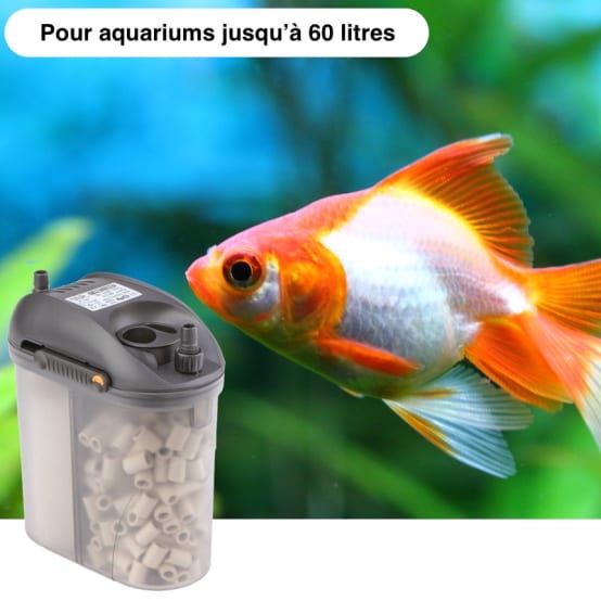 Filtre Extérieur Pour Aquariums De 60 Litres : 300 l/h EDEN 501 - Jardiland