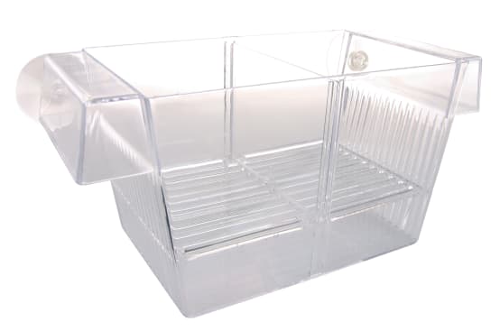 Zolux - Pondoir flottant 3 en 1 - Jardiland