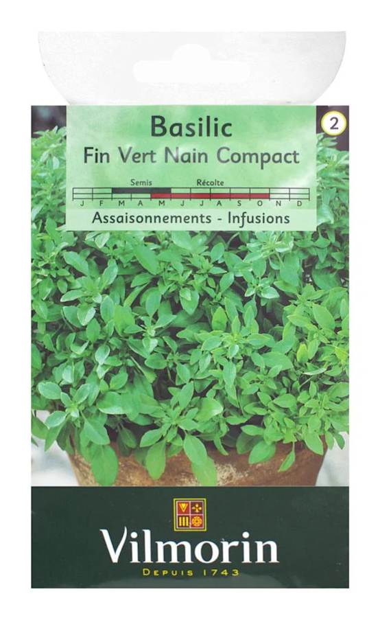 Sachet graines Basilic fin vert nain compact VILMORIN - Jardiland