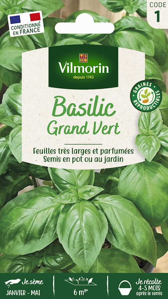 Basilic grand vert série 1 sachet graines 2 g - Vilmorin - Jardiland
