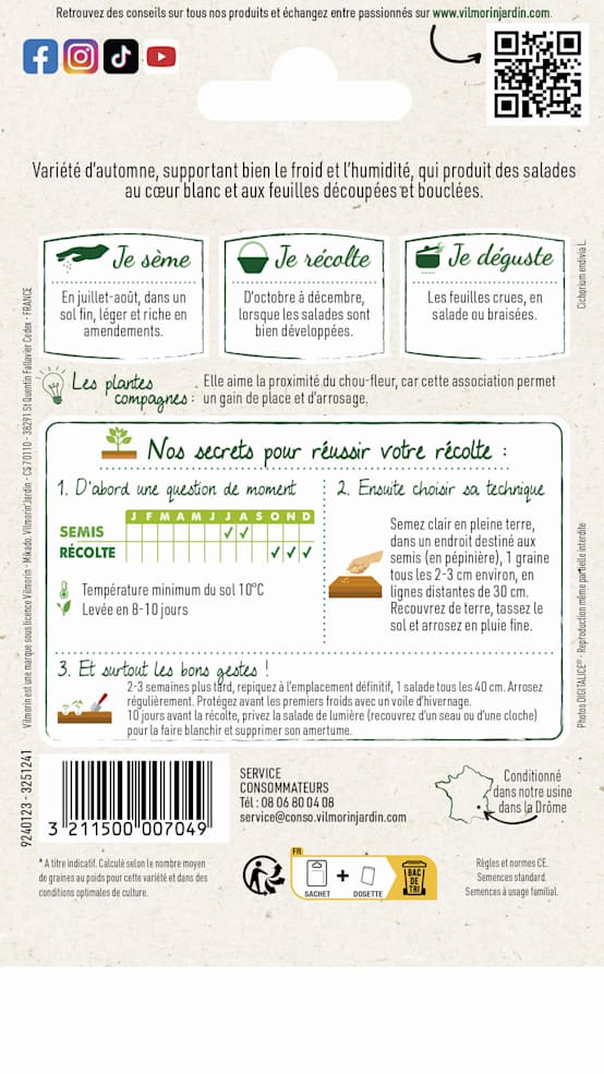 Chicorée frisée de Ruffec série 1 sachet graines 4 g - Vilmorin - Jardiland