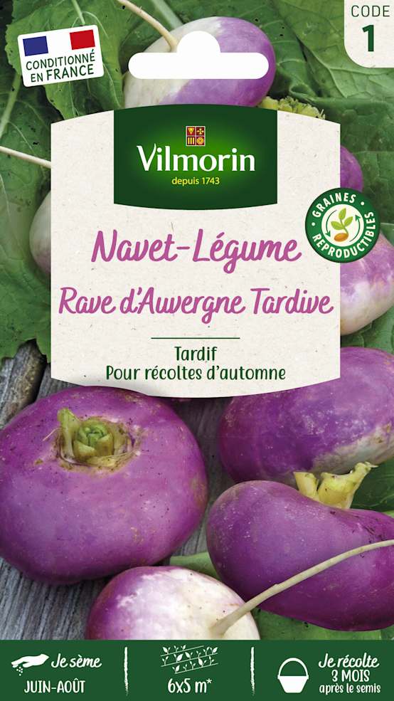 Navet légume rave d'Auvergne tardif série 1 sachet graines 6 g ...