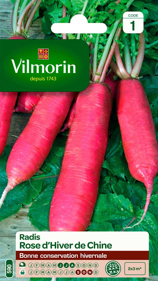 Rábano rosa de invierno de China Semillas 6 g VILMORIN - Jardiland