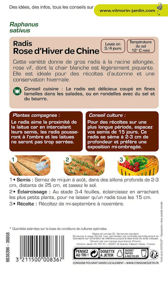 Rábano rosa de invierno de China Semillas 6 g VILMORIN - Jardiland