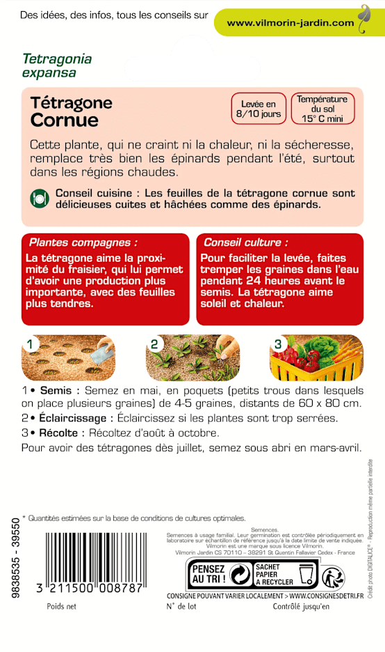 Graine potagère tétragone cornue 5 g – VILMORIN - Jardiland