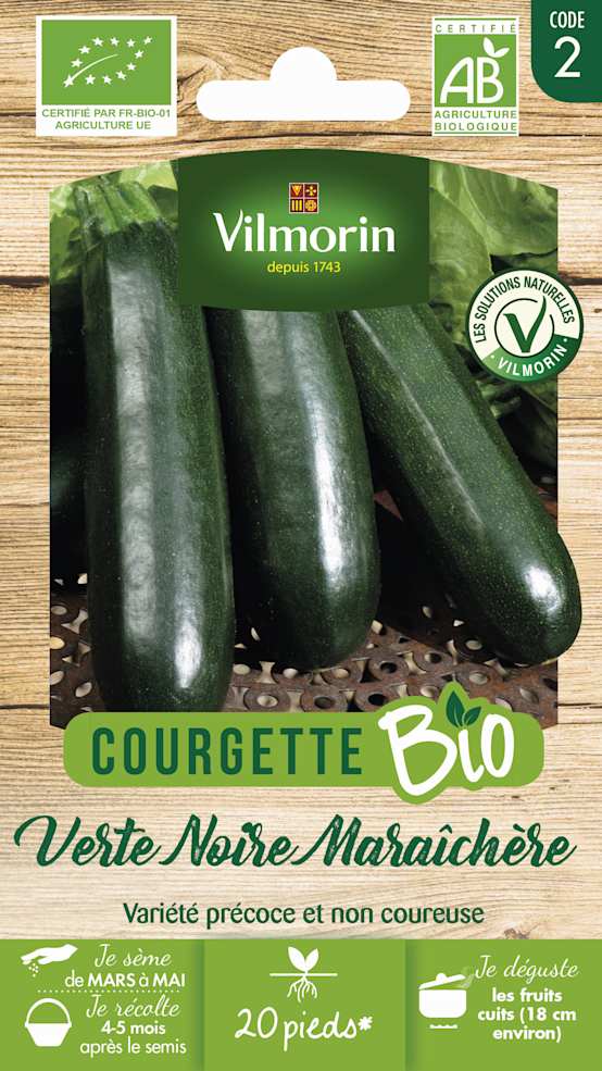 Courgette verte noire maraichère Bio série 2 sachet graines 4 g ...