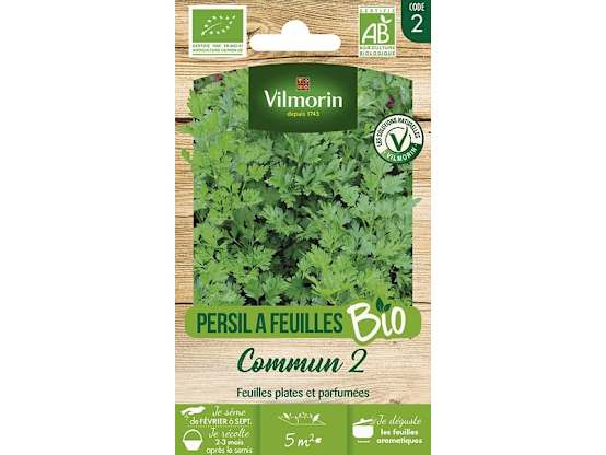 Perejil común planta bio VILMORIN - Jardiland