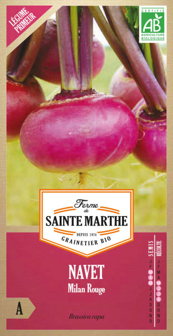 Semillas de Nabo Milán Rojo - LA FERME SAINTE MARTHE - Jardiland