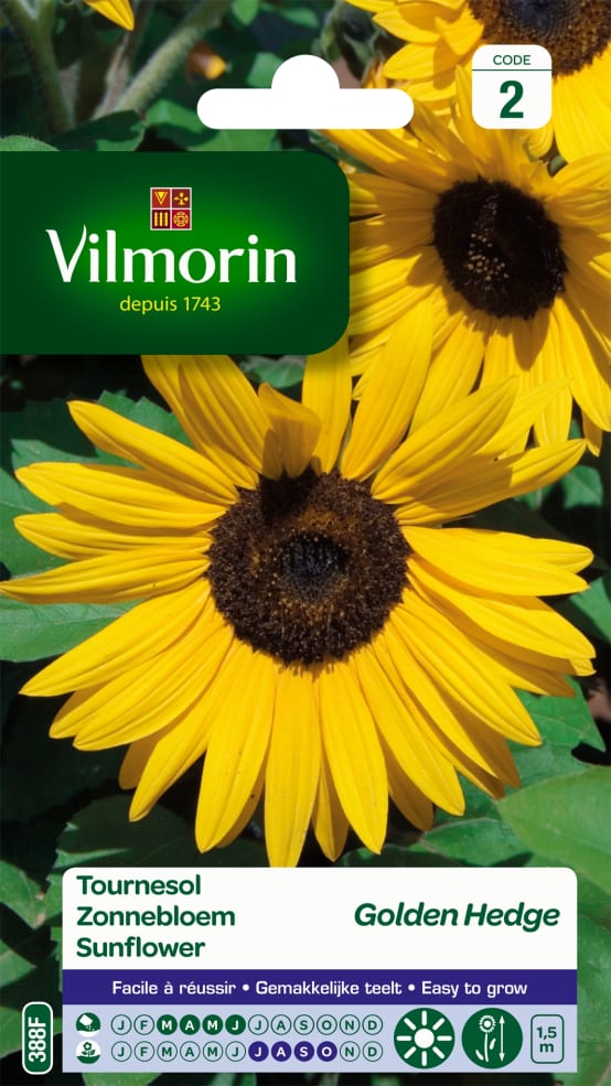 Graines de Tournesol Golden Hedge - VILMORIN - Jardiland