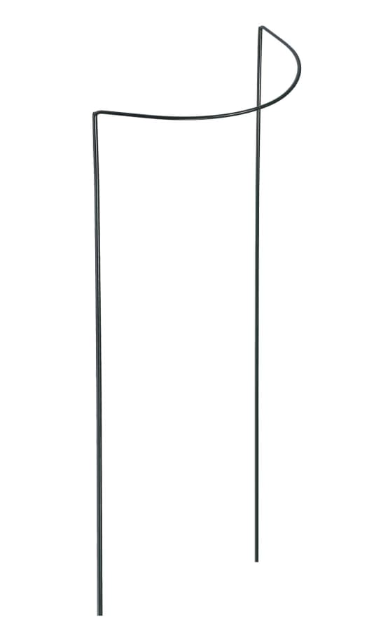 Tutor Semicírculo Metal - PEACOCK - Jardiland