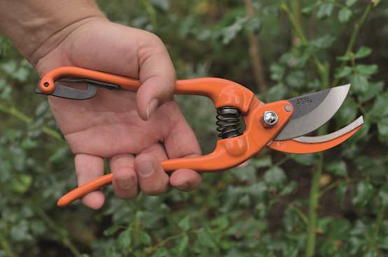 Sécateur professionnel – BAHCO - Jardiland