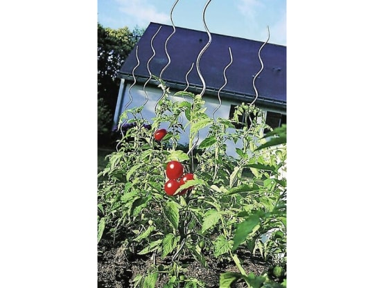 Tuteur tomate spirale ø0,7 x H180 cm - Jardiland