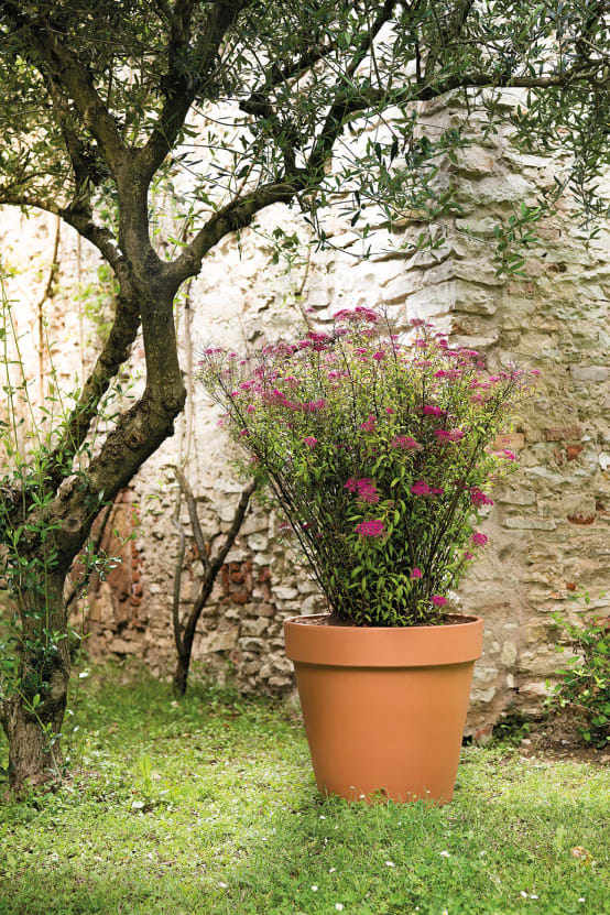 Vase en Terre Cuite Rouge – DEROMA - Jardiland