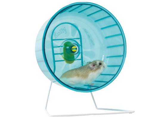 Rolly Medium - L.14cm x l.14cm x H.9.5cm - Jardiland