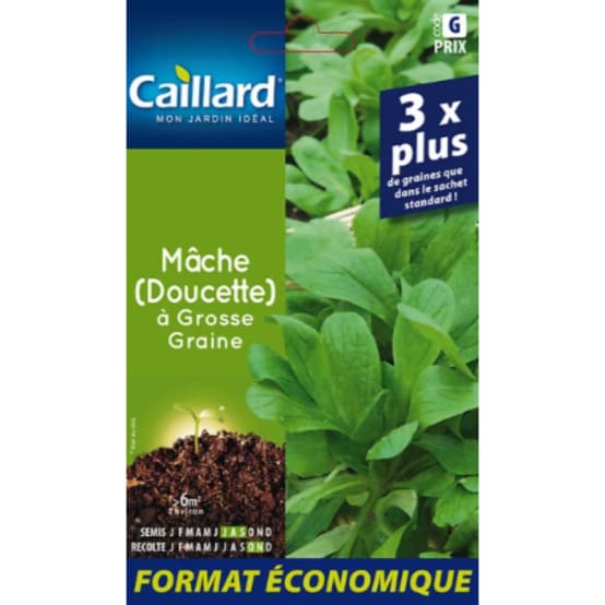 Canónigos de Semilla Grande - Jardiland