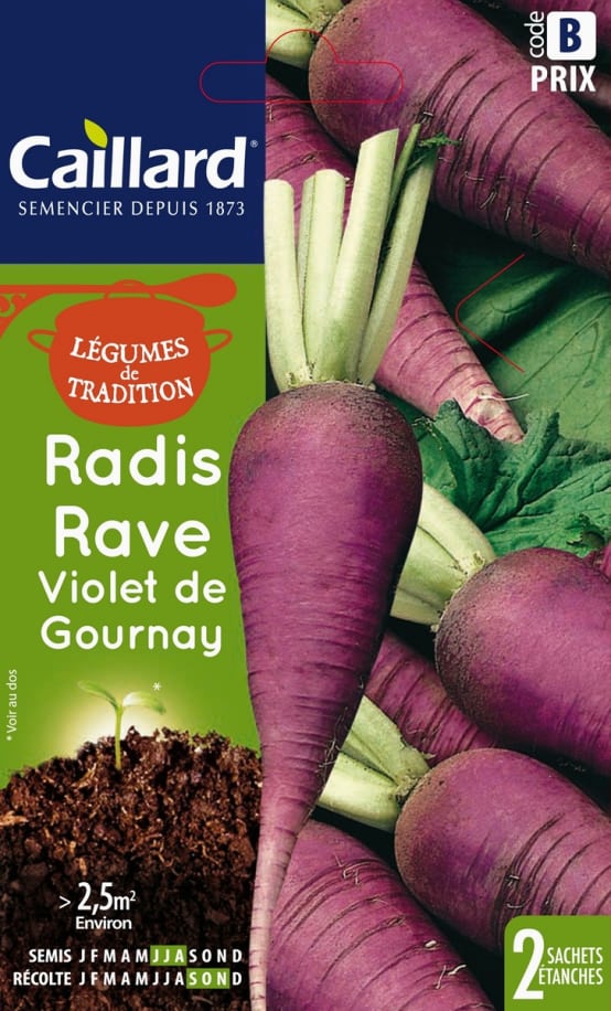 Graines de Radis Rave Violet De Gournay - Jardiland