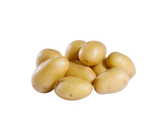 Papas saco bio blanca 1,5Kg – BERNARD - Jardiland
