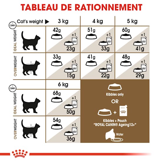Croquettes chat stérilisé +12 ans - ROYAL CANIN - Jardiland