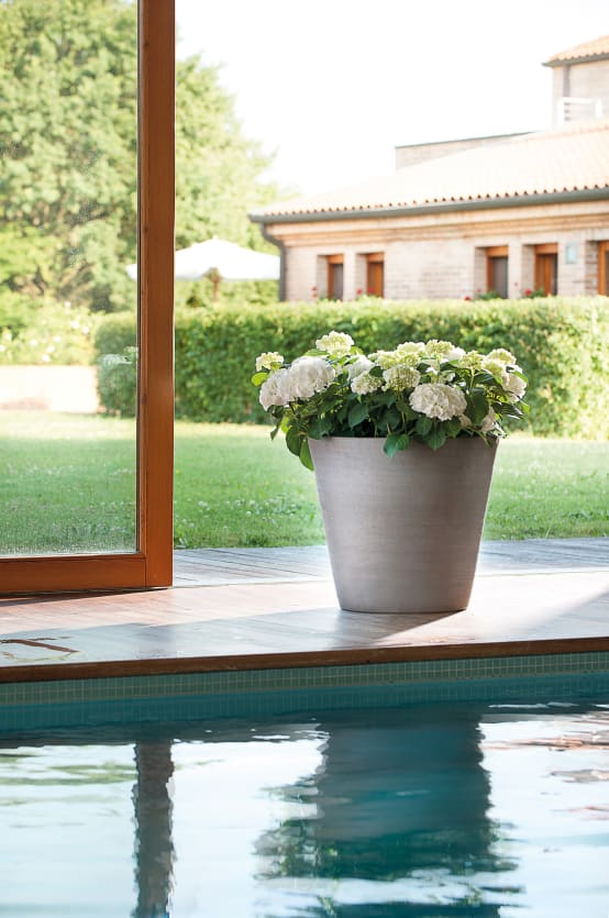 Deroma - Pot Conico Primitivo Grafite D.49 x H.45,8cm - Jardiland