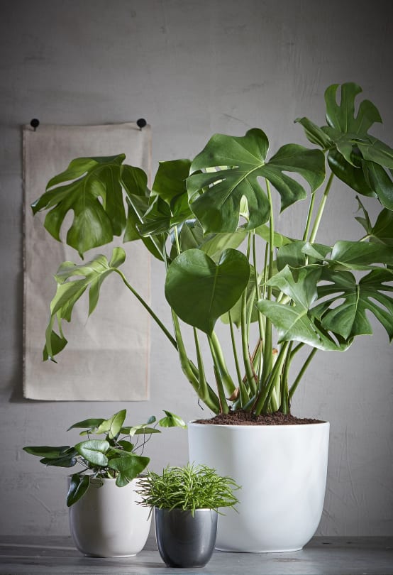 Pot Rond Céramique Anthracite Tusca - MICA DECORATIONS - Jardiland