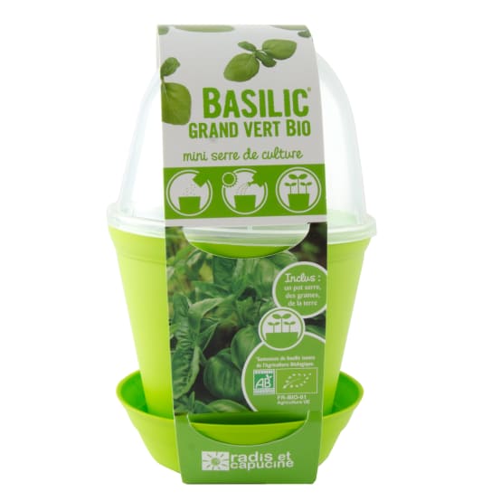 Pot Cloche Basilic bio - Jardiland