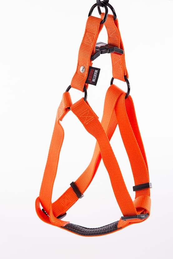 Arnés de pecho 40-90/110 naranja - Jardiland