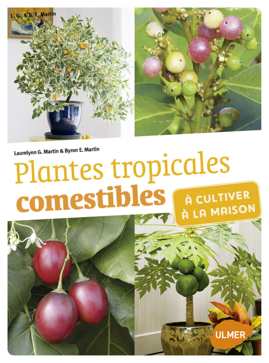 Plantas tropicales comestibles - Jardiland