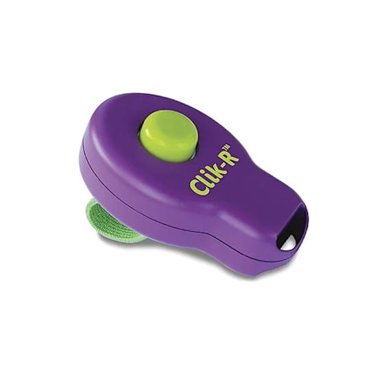 Clik'r™ clicker de dressage pour chien - Jardiland