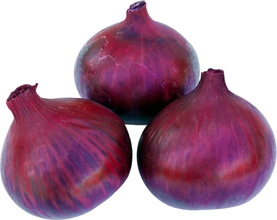 Oignon rouge en filet 500 g FERTINATURE SARL - Jardiland
