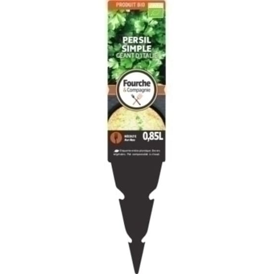Persil plat, persil commun, persil simple - Jardiland