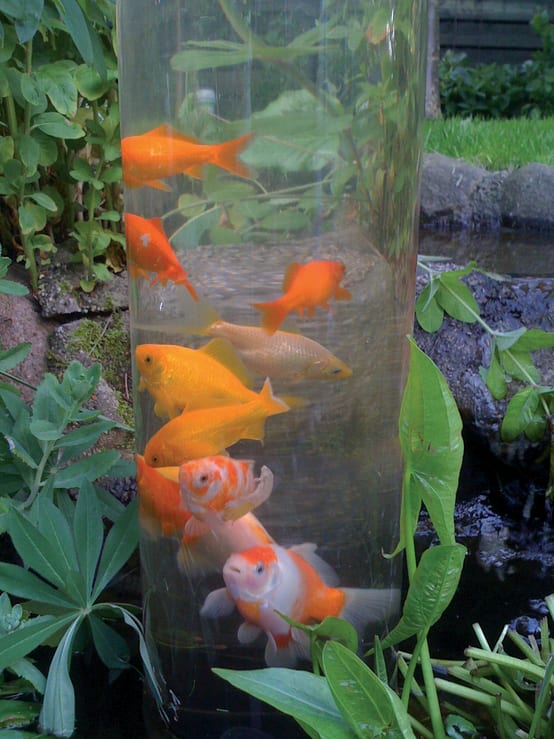 Ubbink - Torre para peces Fishtower Ø.20 x H.50 cm - Jardiland