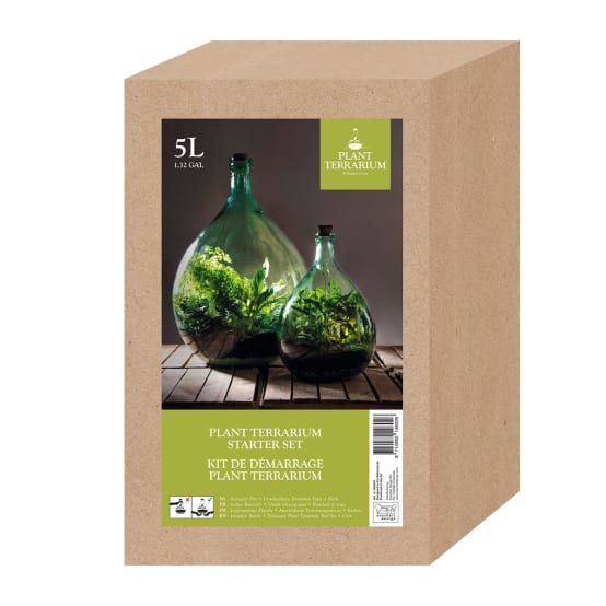 Kit De Démarrage Plante En Terrarium - ESSCHERT DESIGN - Jardiland