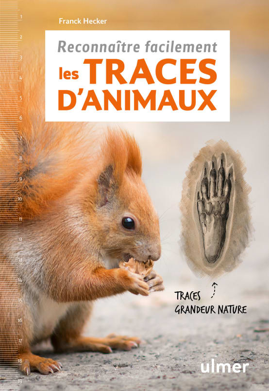 Reconnaître facilement les traces d'animaux - Jardiland