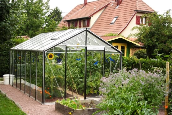 ACD Pro - Invernadero R305H-B opción lacado L.519 x l.306 x H.259 cm ...