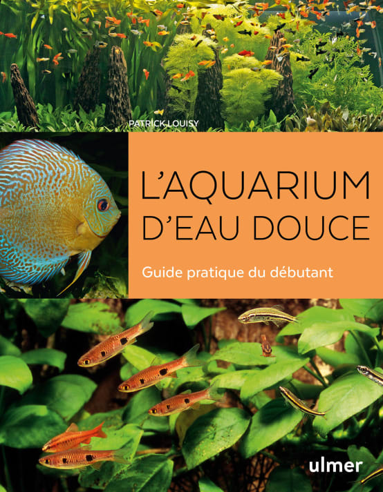 L'aquarium d'eau douce - Jardiland