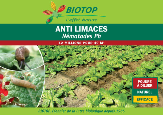 Nematodos Anti Babosas Phasmarhabditis hermaphrodita caja de 12 ...
