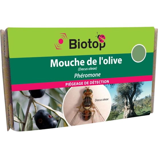 Phéromone Mouche de l'olive Dacus (Bactrocera) oleae boîte de 2 ...