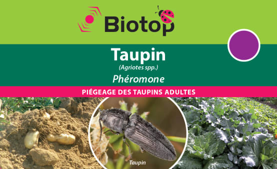 Phéromone Taupins Agriotes spp. (taupin) boîte d'1 capsule - BIOTOP ...